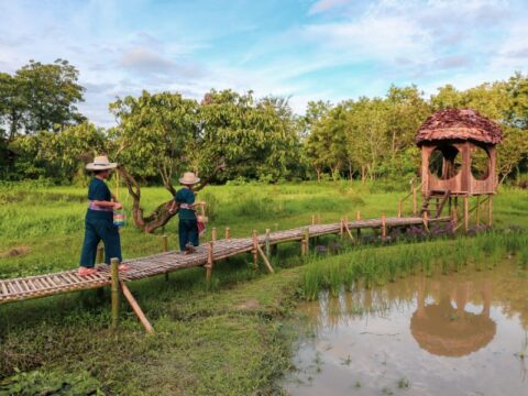 清邁廢氏推介 清邁必去觀光農場+動物園 ⭐️⭐️⭐️⭐️⭐️